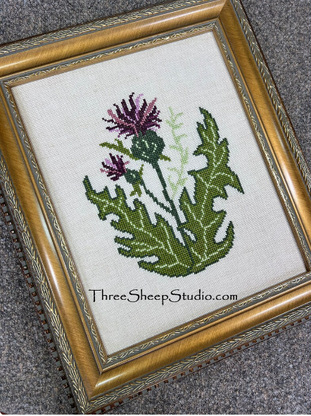 Scottish Thistle – CelticSistersNeedlework